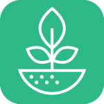 Sustainable Tobacco Program
